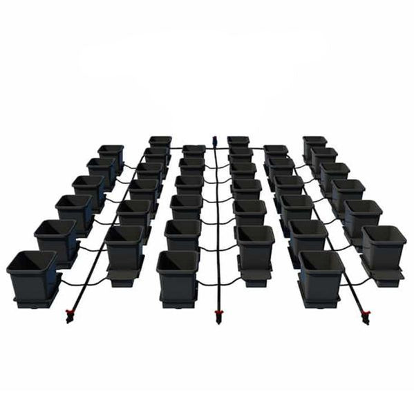 Buy best hydroponic grow system | Grow Guru