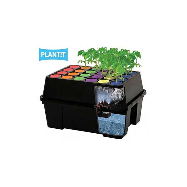 Propagation | Seeds | Clones — Grow Guru