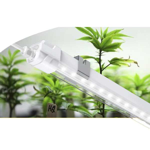 Buy LED grow lights for hydroponics | Grow Guru